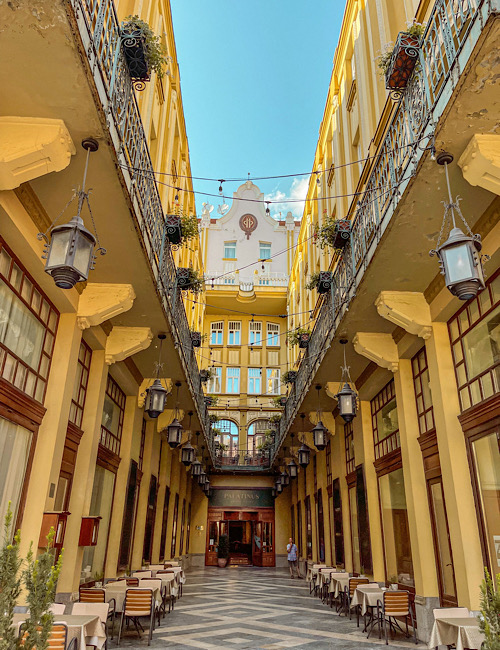 Pečuj - Jovanin Život u Koferu