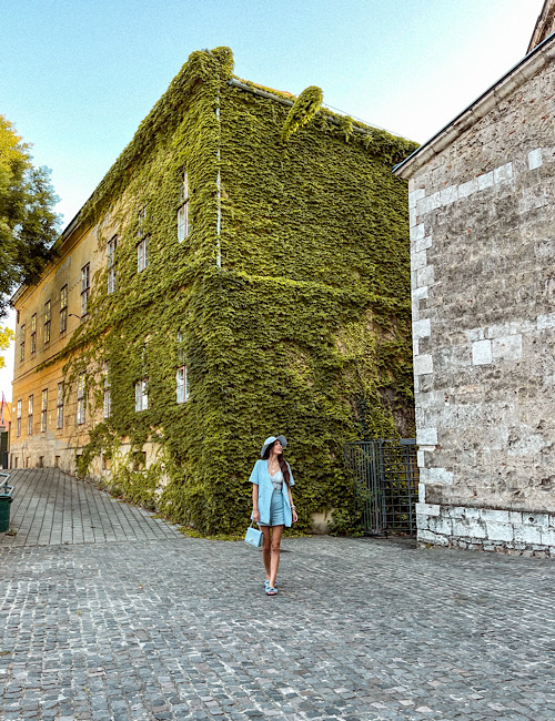 Pečuj - Jovanin Život u Koferu